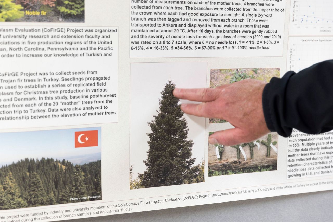 As climate warms, that perfect Christmas tree may depend on growers ...