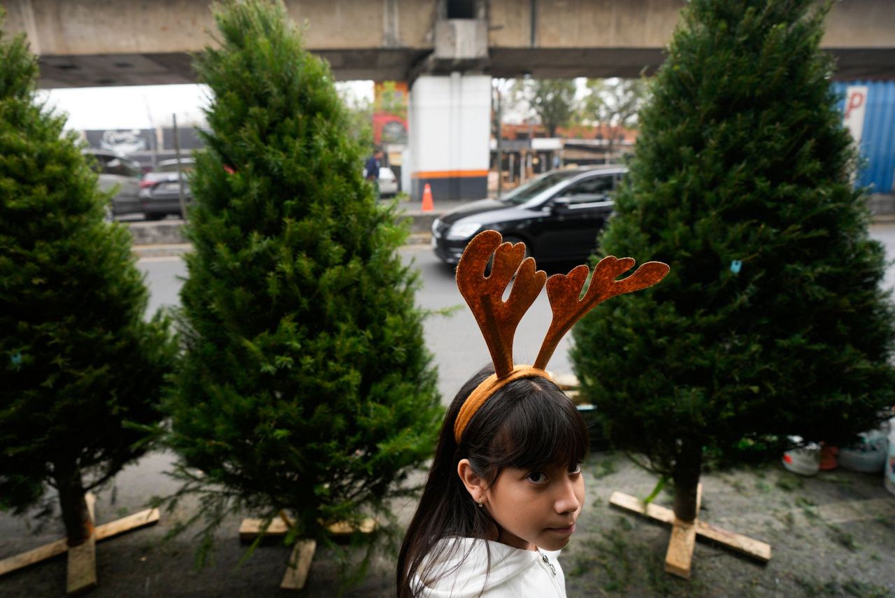 As climate warms, that perfect Christmas tree may depend on growers ...