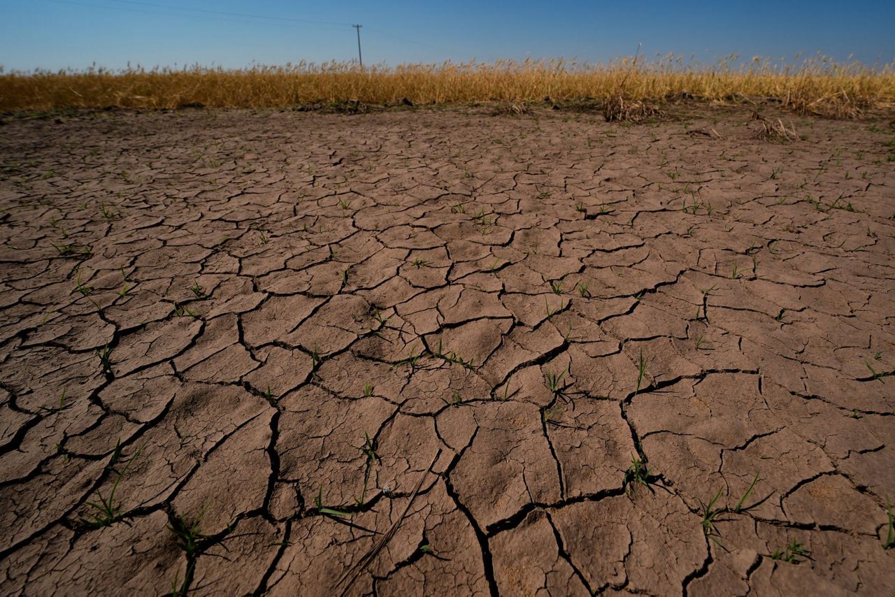 El Nino is here and scientists fear it'll be big, bad and costly with ...