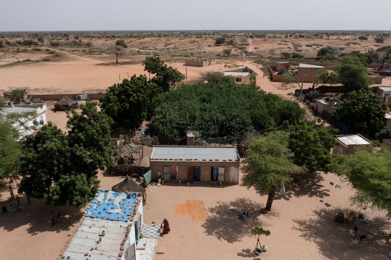Africa's 'Great Green Wall' shifts focus to hold off desert
