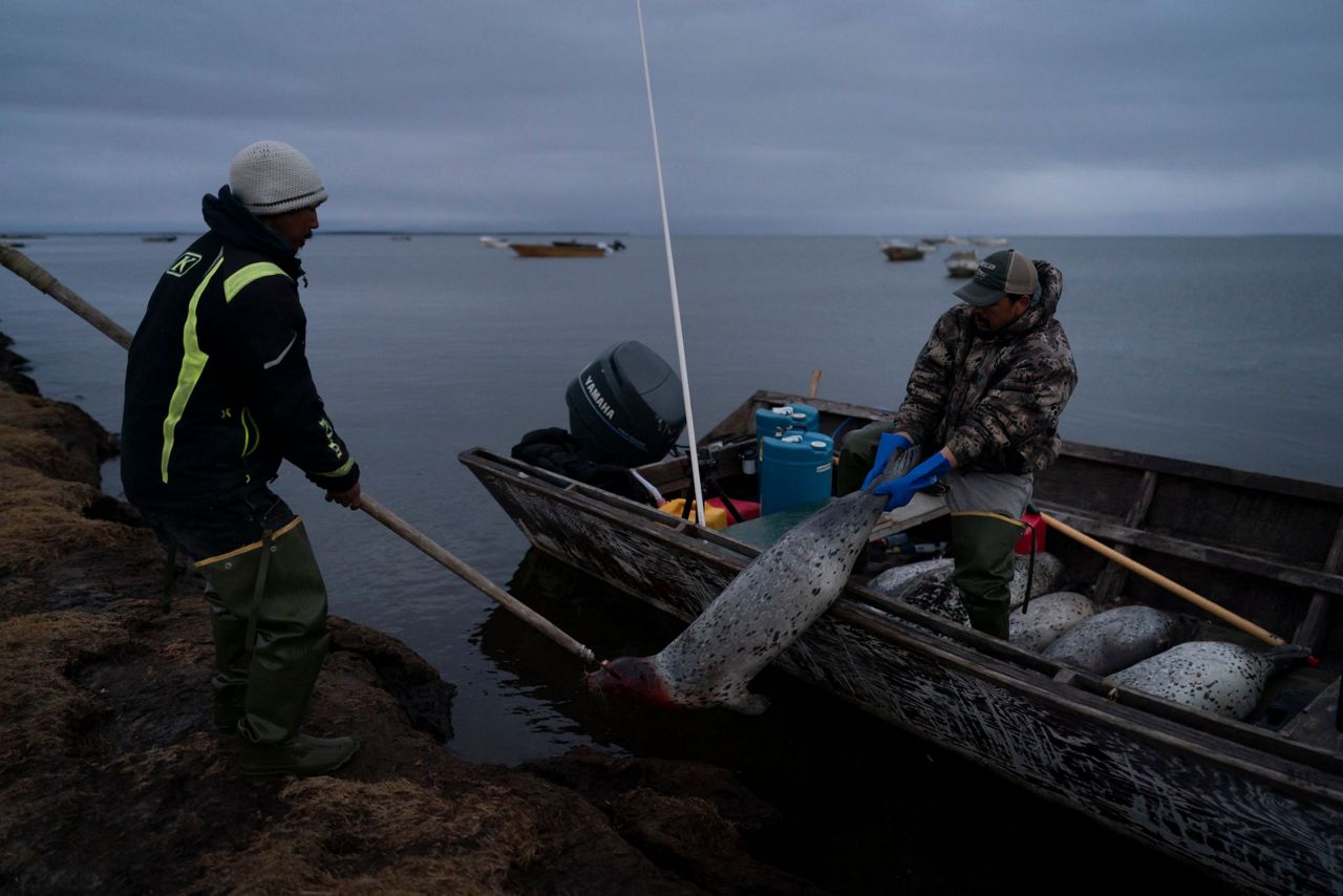 Climate migration: Alaska village resists despite threats