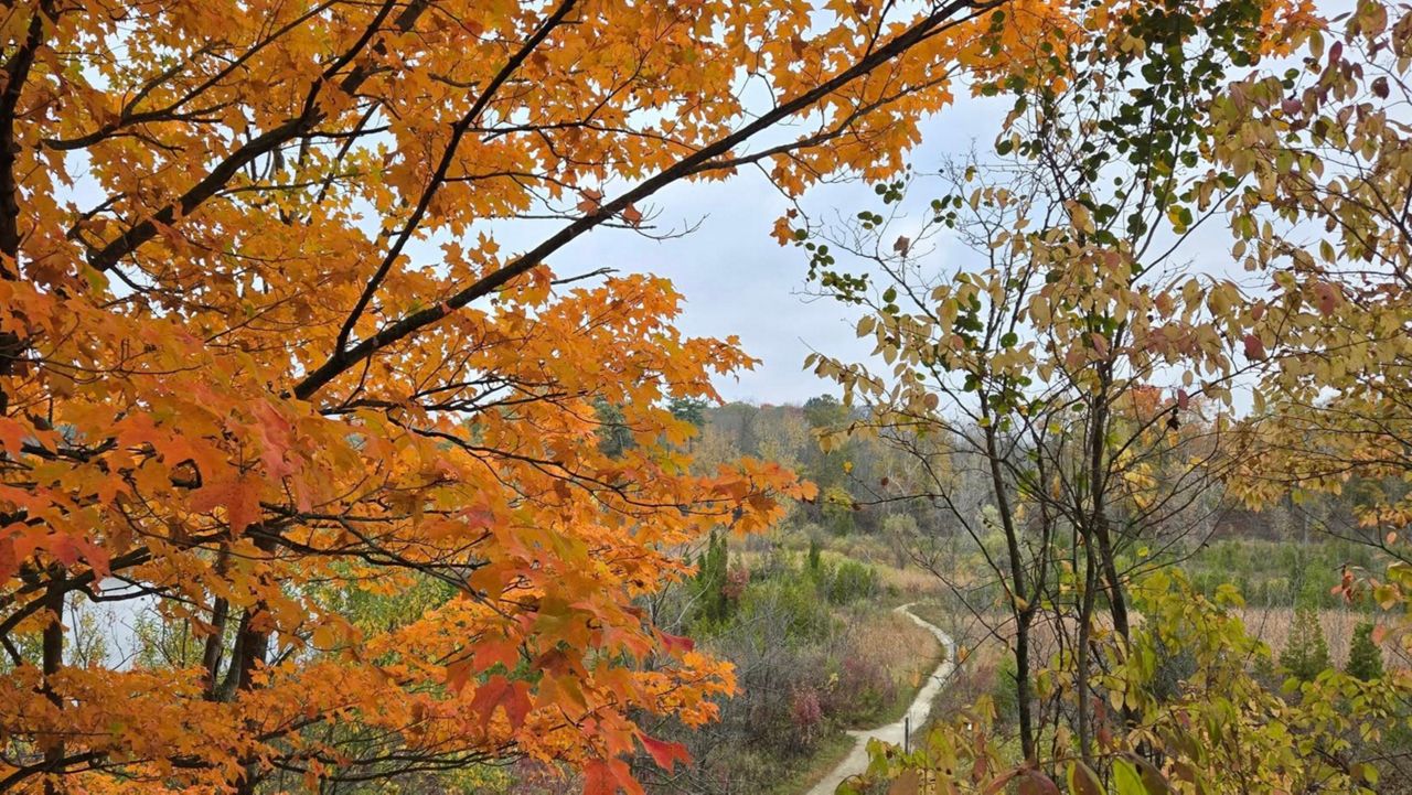 Isolated showers on Saturday, drying on Sunday