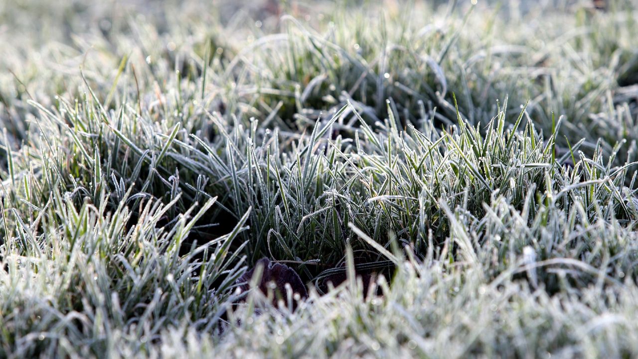 Back to school weather