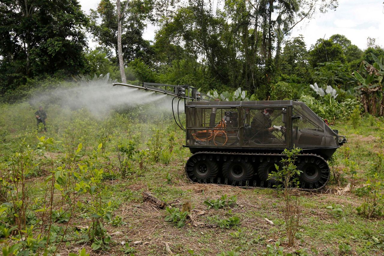 Colombia proposes to resume aerial spraying of coca fields