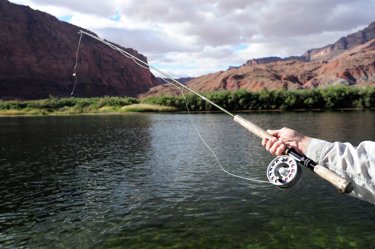 On the Colorado River, growing concern for trout and chub