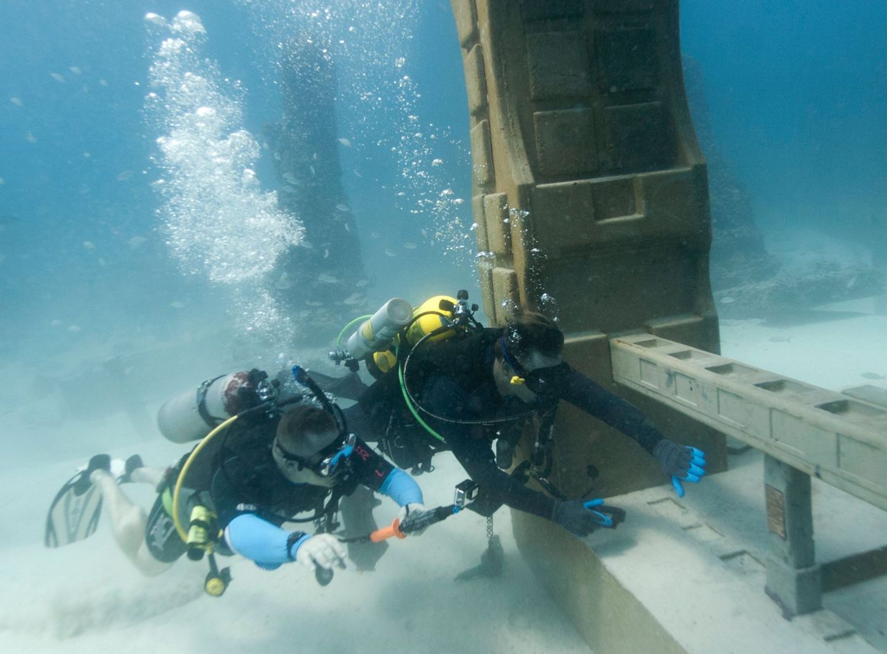 Finding life in the afterlife at coral reef cemetery