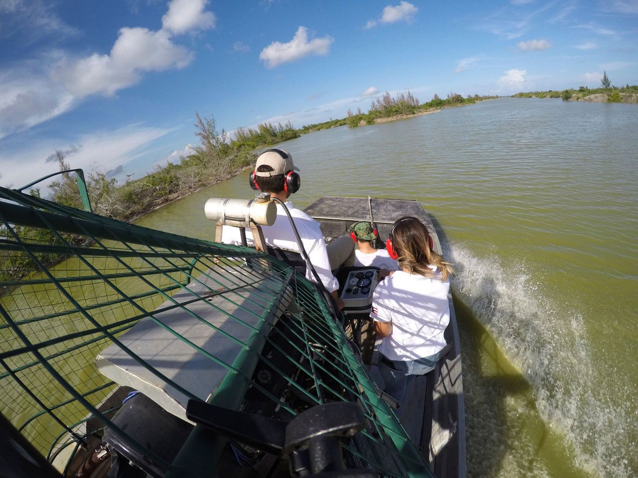 American crocodiles thriving outside nuclear plant