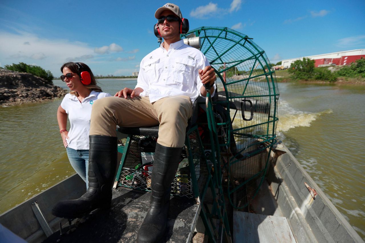 American crocodiles thriving outside nuclear plant