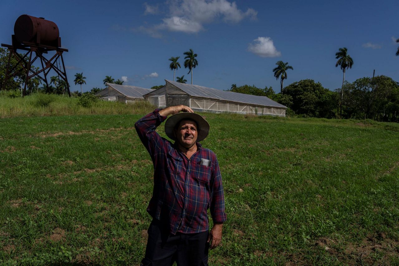 Reforms help Cuban farmers, but many still struggle