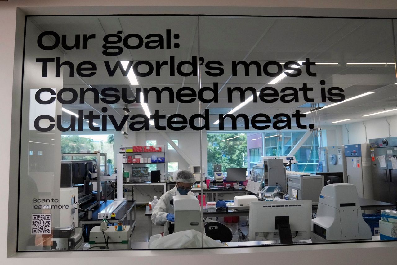 US approves chicken made from cultivated cells, the nation's first 'lab ...