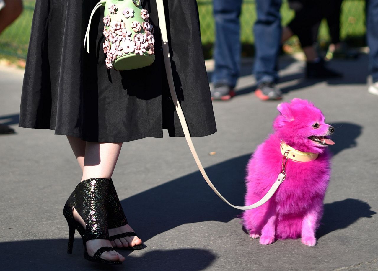 From Barbie to millennial pink, the cultural phenomenon behind the ...