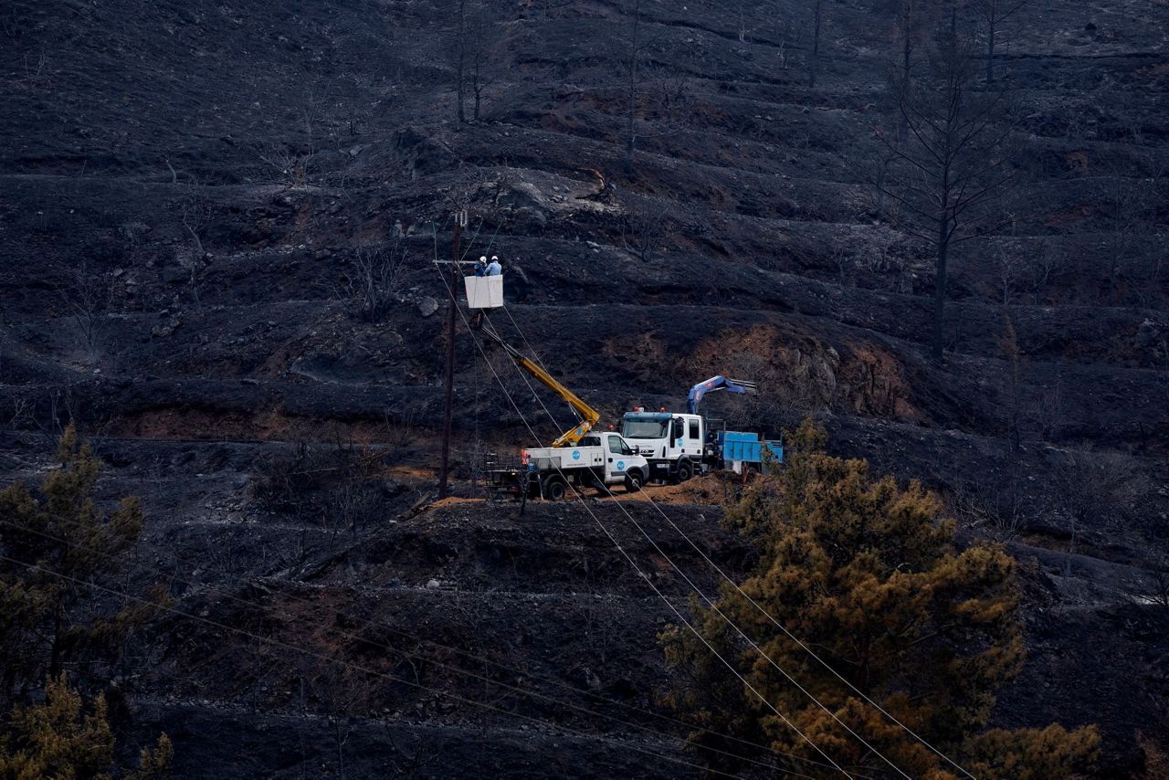 Cyprus forest fire that killed 4 now under control