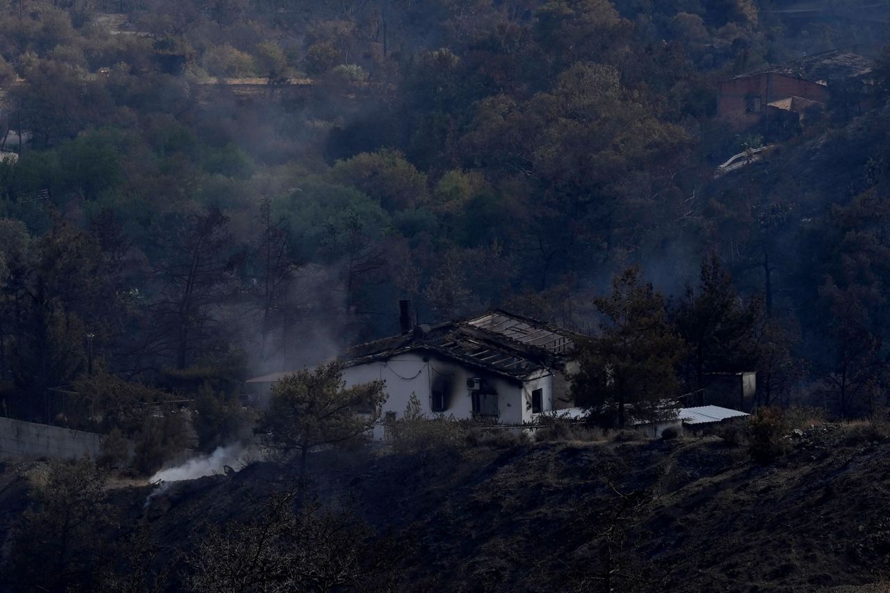 Cyprus forest fire that killed 4 now under control
