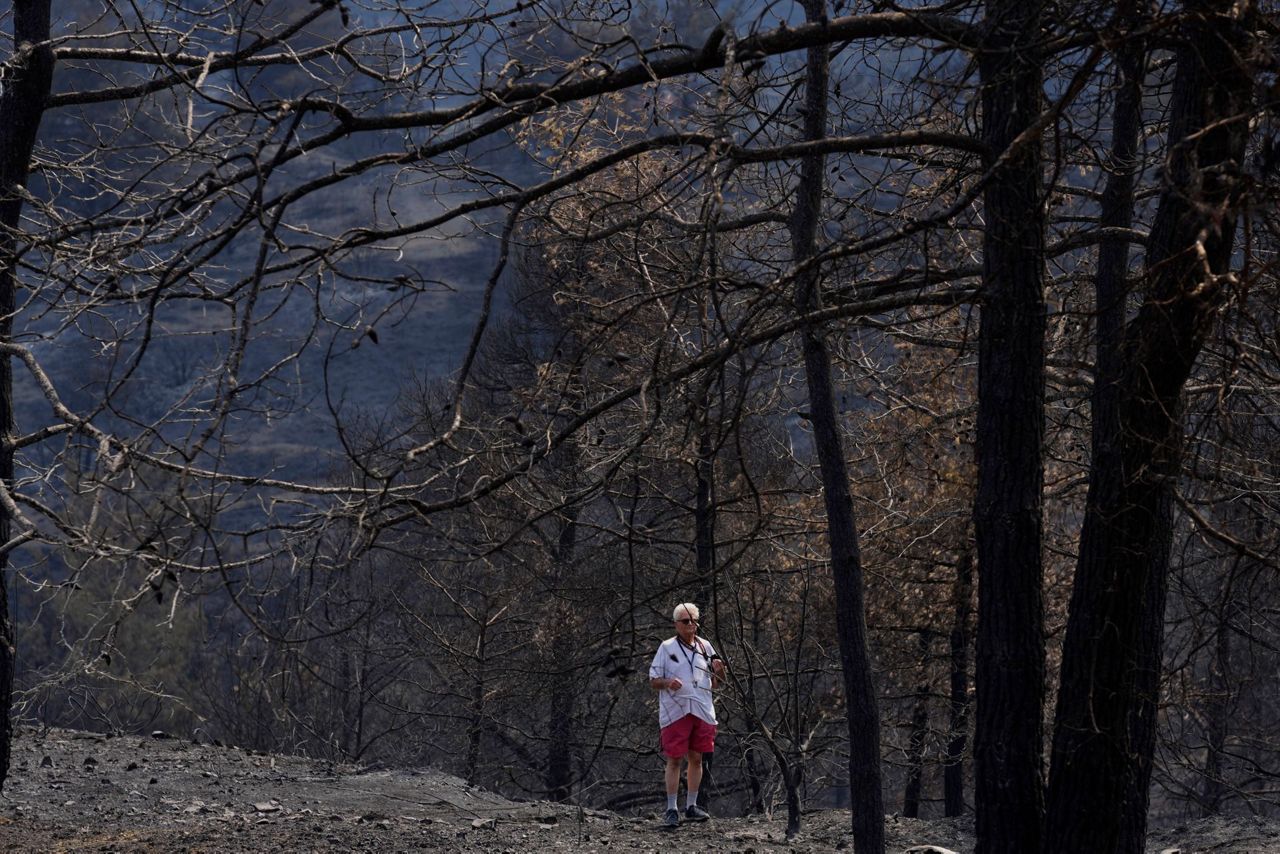 Cyprus forest fire that killed 4 now under control