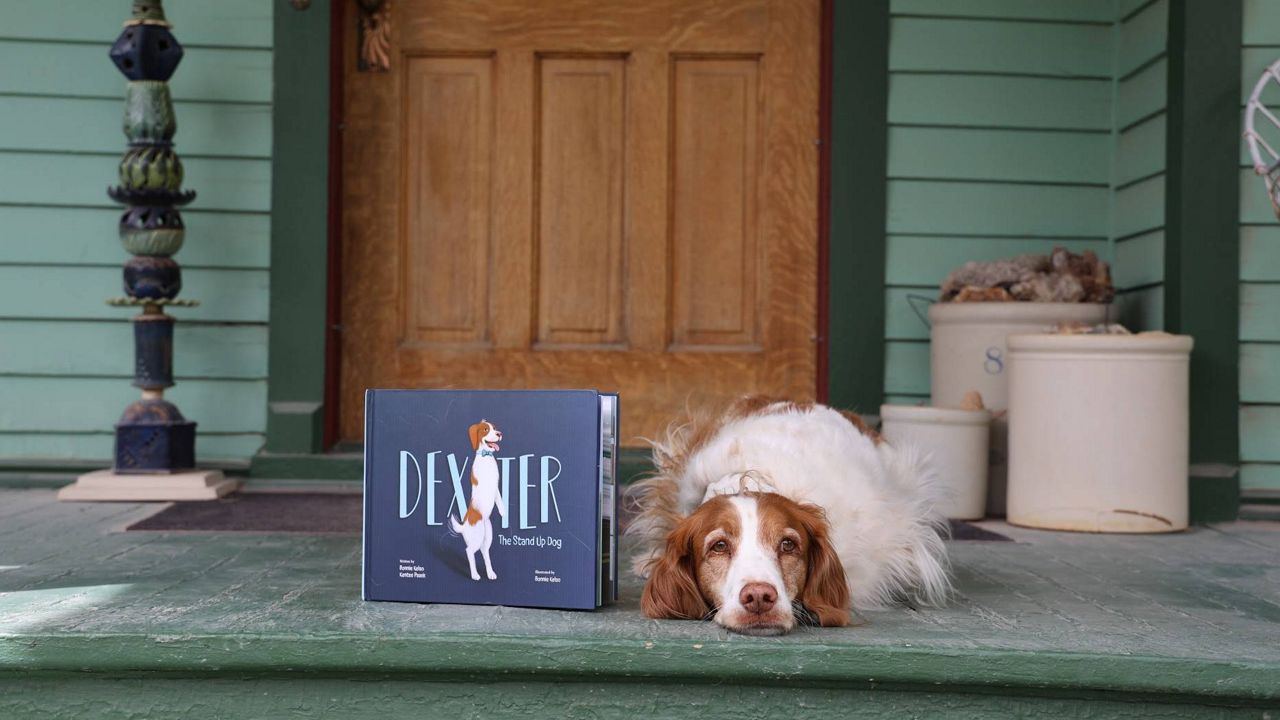 Dog that walks upright brings smiles, inspiration to people
