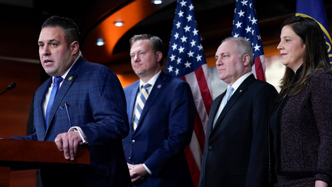 Dems, including a past opponent, seek to take on D'Esposito