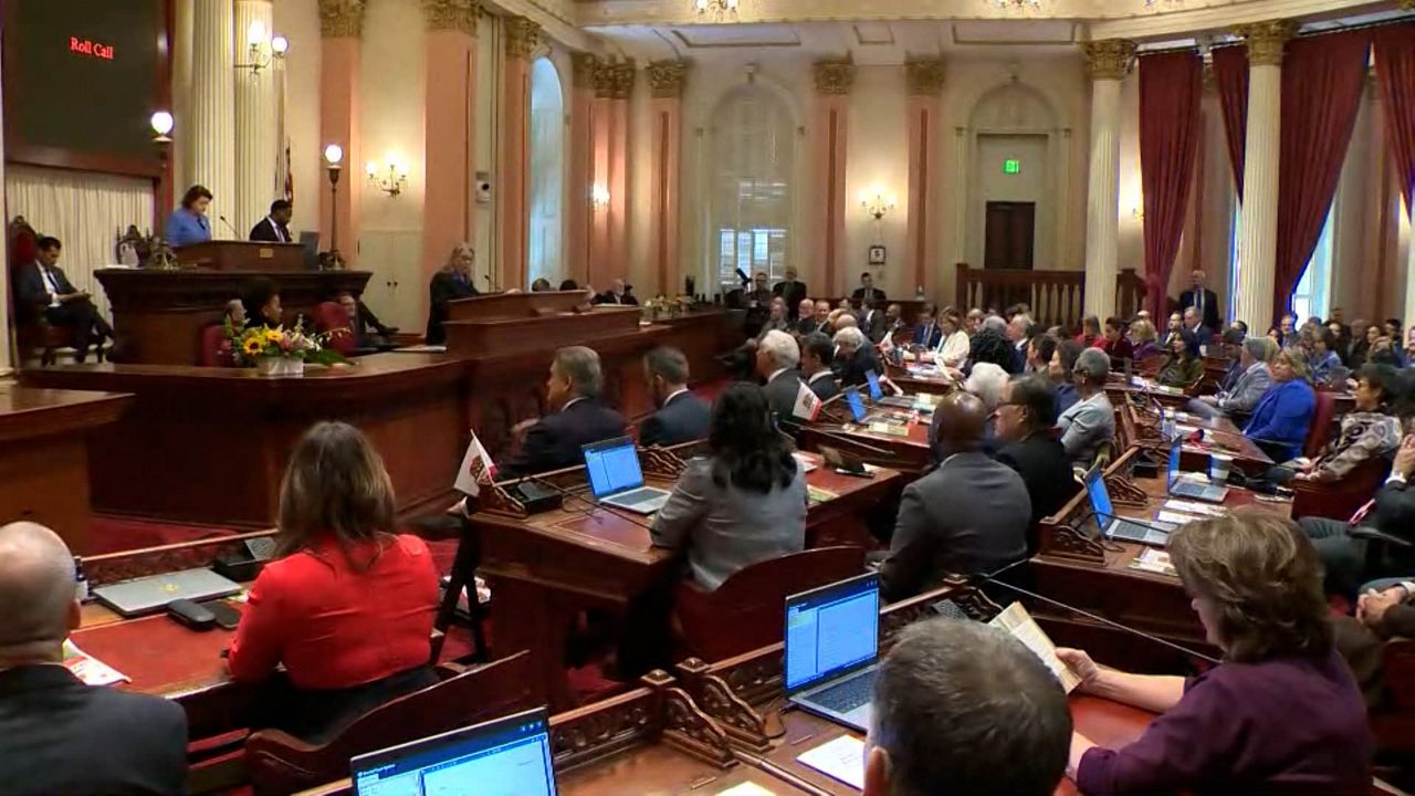 Daniela Pardo - Journalist Profile - Intelligent Relations