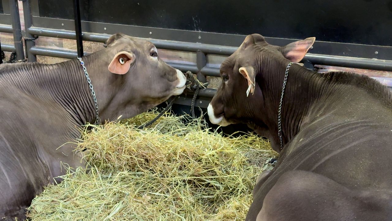 Technology on display at the World Dairy Expo
