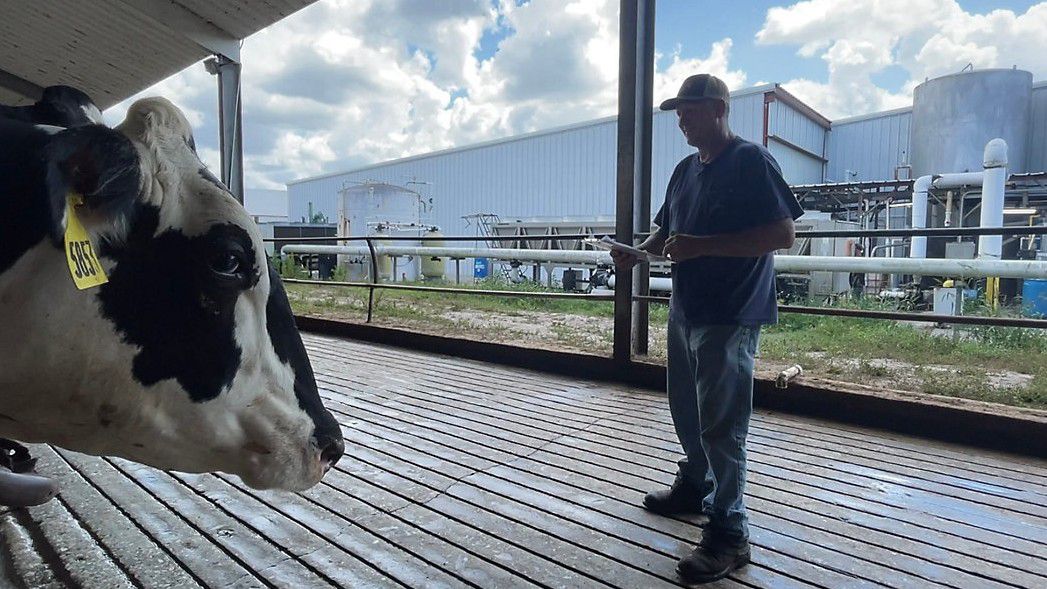 A new generation takes over Dakin Dairy Farm - ReportWire