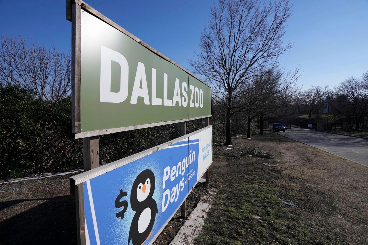 Police: Man arrested in taking of monkeys from Dallas Zoo