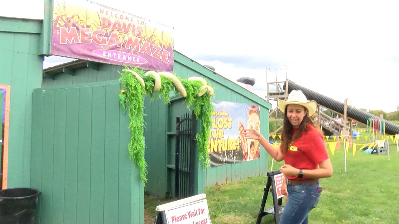 The Davis Mega Maze is back welcoming guests this weekend