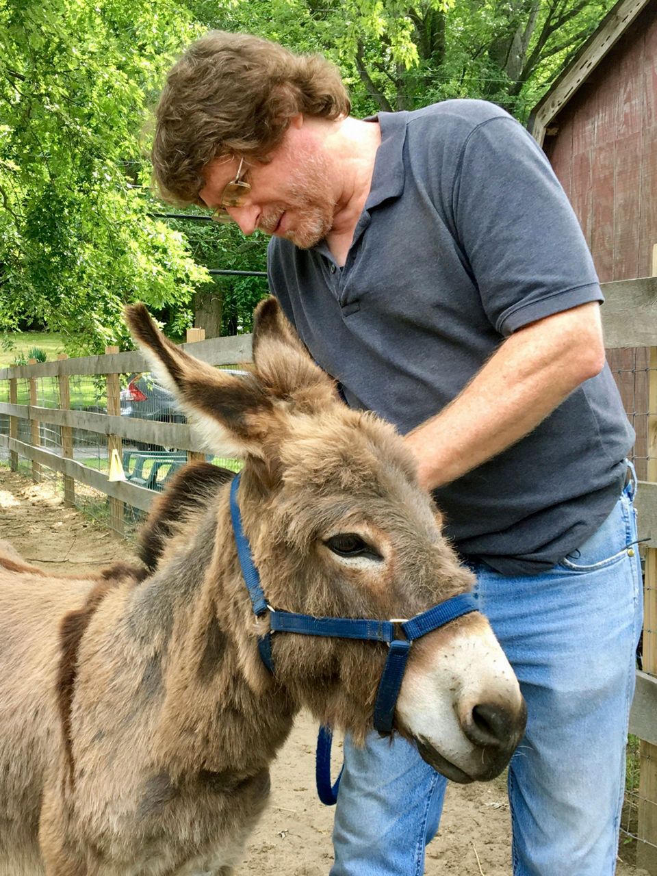 Beasts unburden: Donkeys at mini ranch help people de-stress