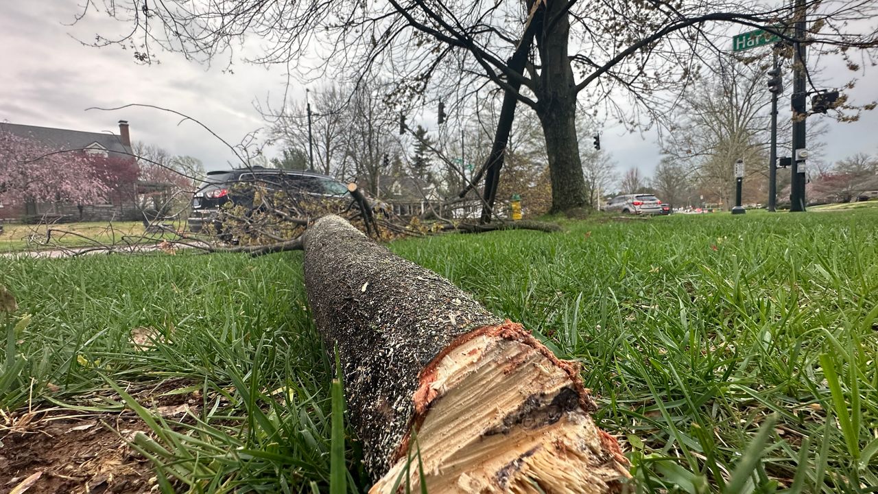 Lexington neighborhood sees damage from severe storms