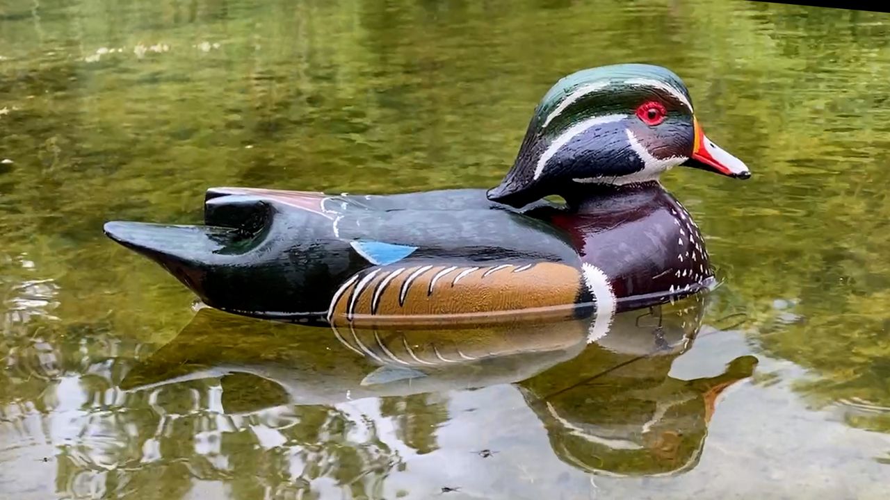 Decoy carvings double as tools and art for Pulaski hunter