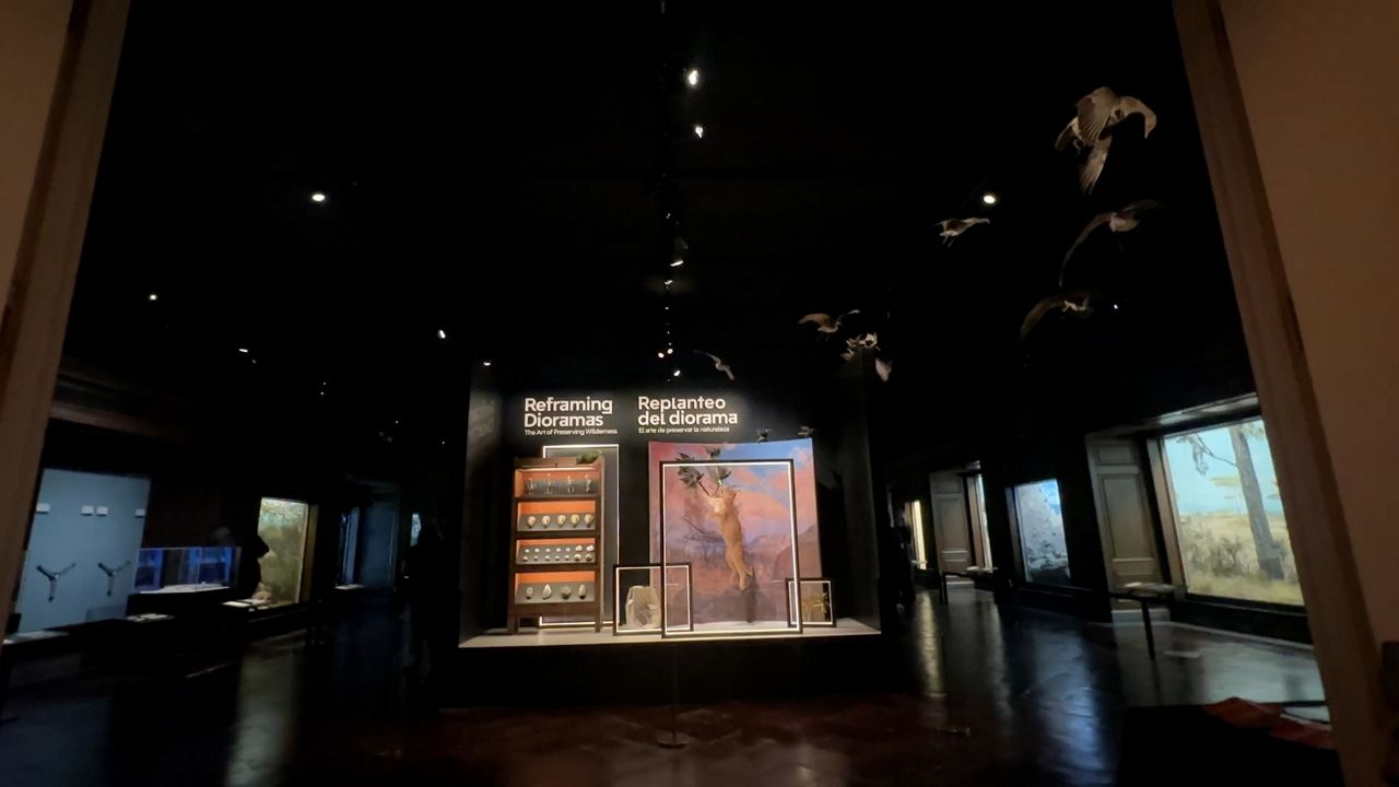 Natural History Museum of LA delves into history of dioramas