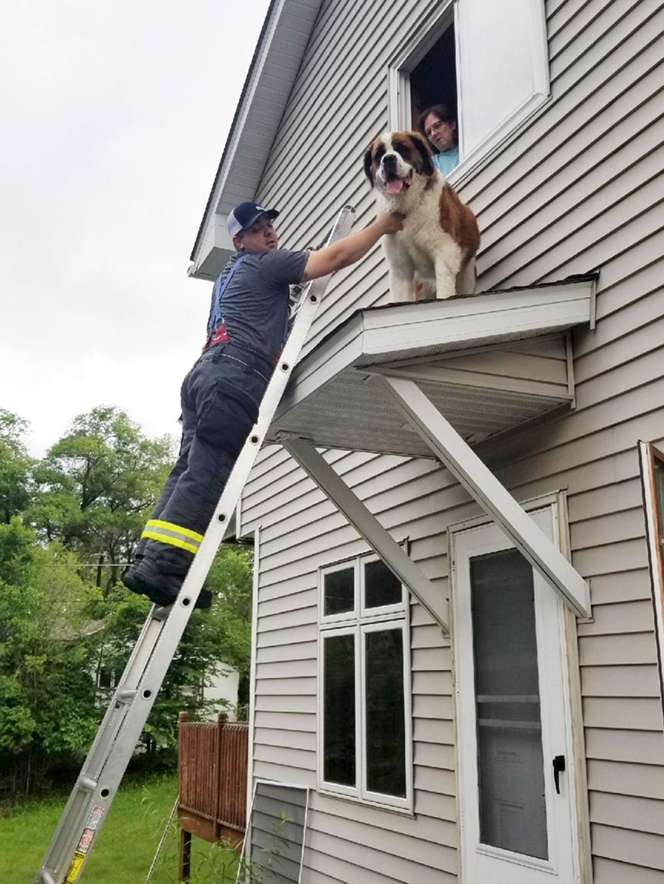'Roof, roof!' Dog rescued from overhang roof at his home