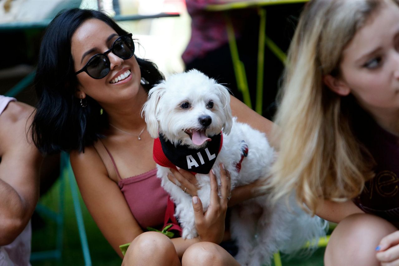 Doggy Con: a pop culture convention for furry fanatics