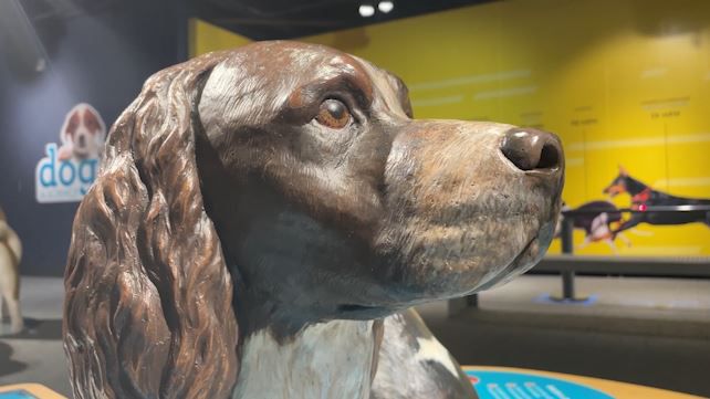 Dog exhibit opens at the Orlando Science Center