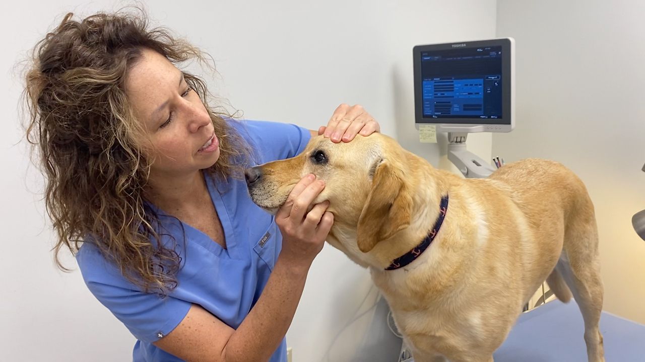 Watch your pets: Tickborne diseases are on the rise