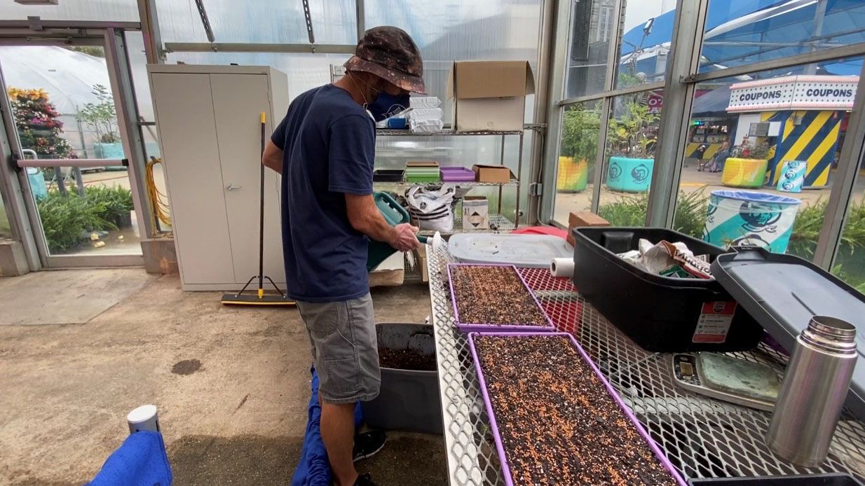 Agriculture exhibit provides produce for food desert
