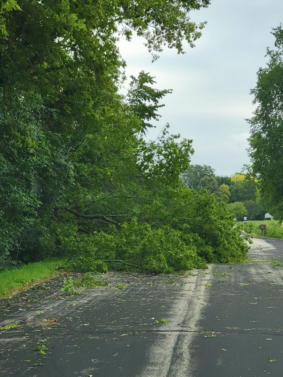 Take a look at the severe storm damage around Wisconsin