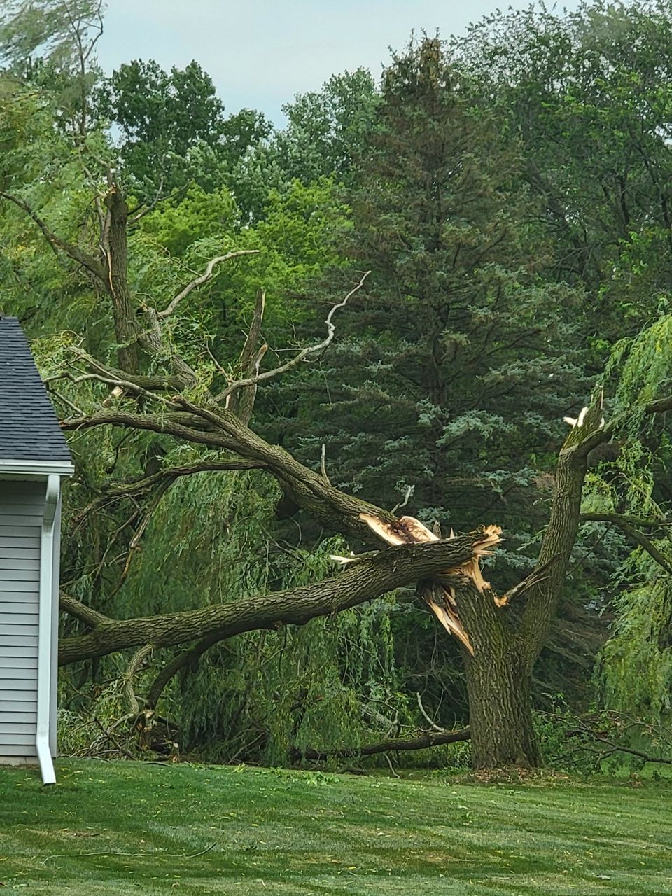 Take a look at the severe storm damage around Wisconsin