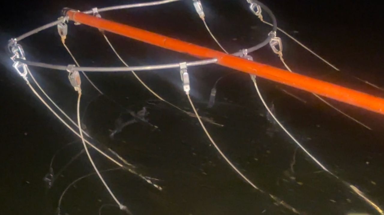 DNR studies impact of winter fish kill