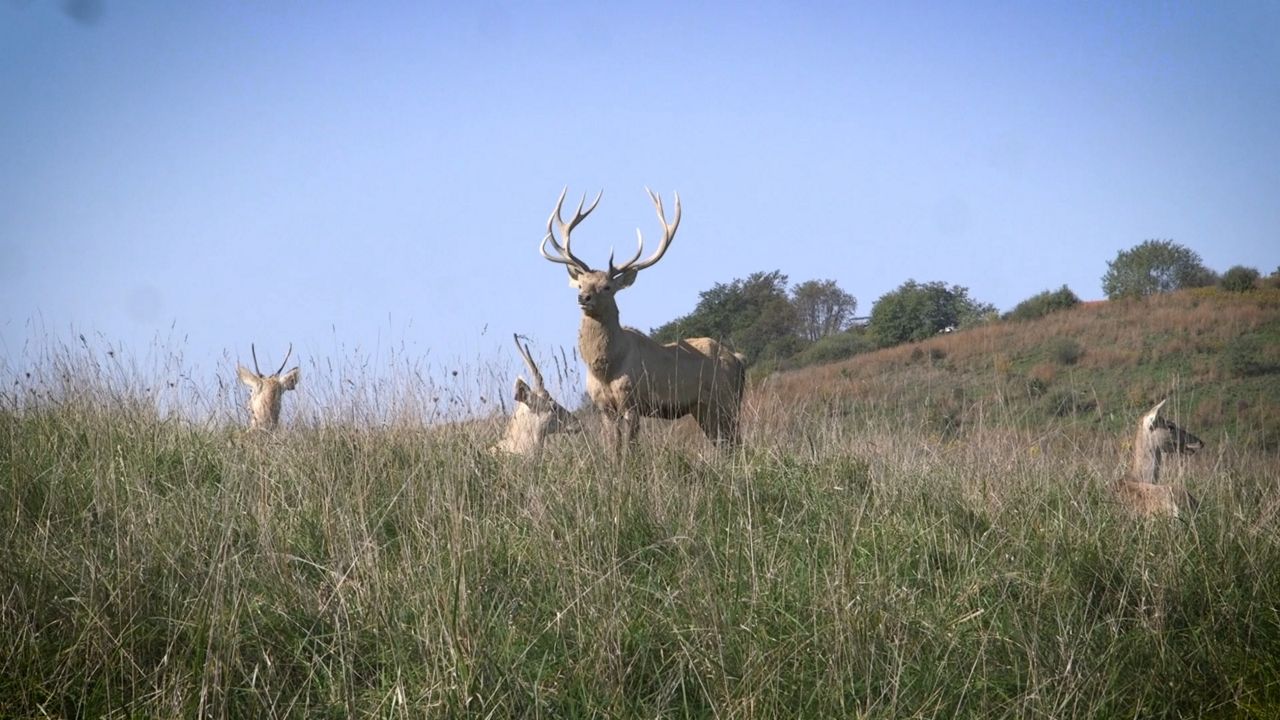 Exploring Ohio: The Wilds