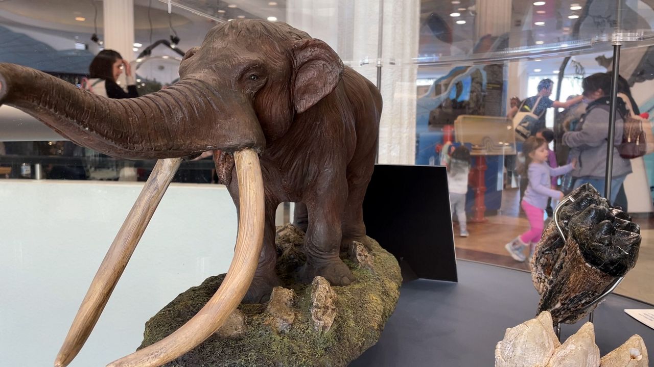 'Prehistoric Planet' February vacation at the EcoTarium