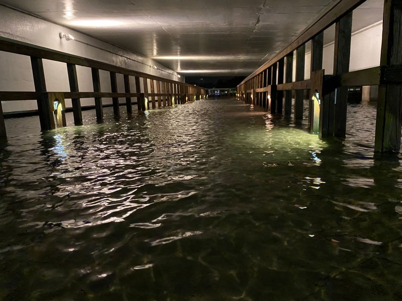 PHOTOS: Eta's aftermath in the Tampa Bay Area