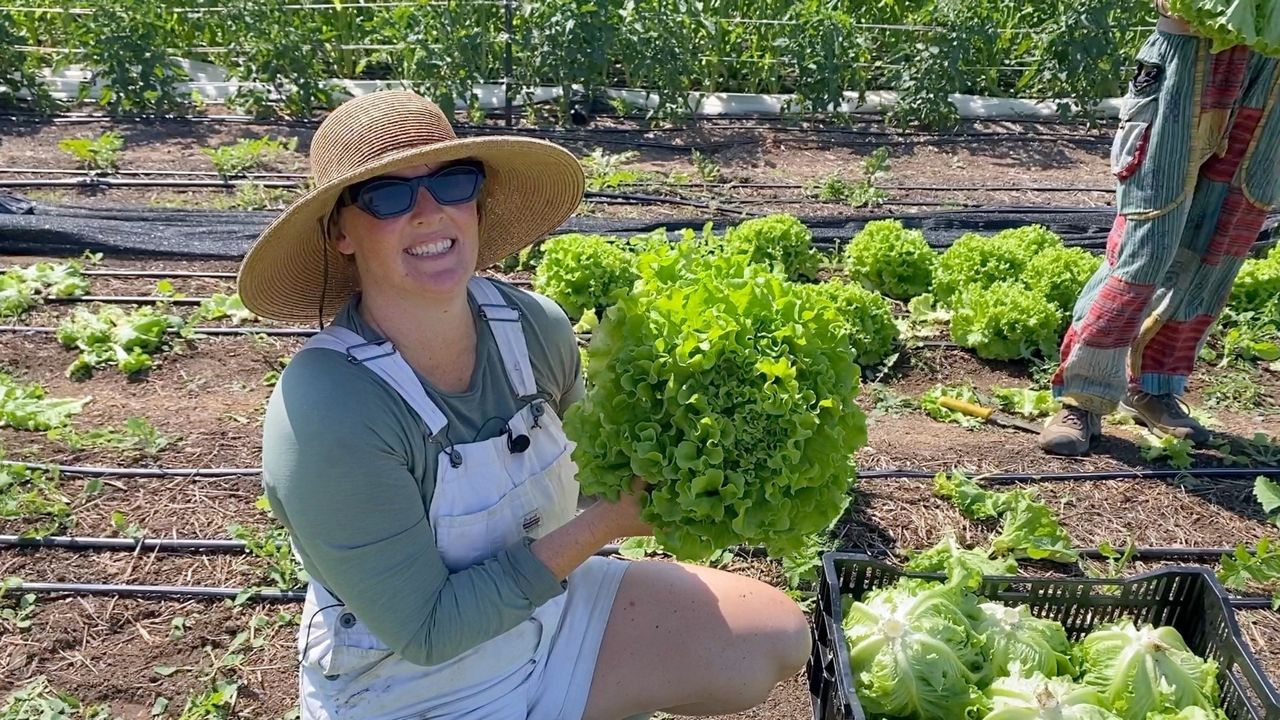 Farm Lab helps students and environment