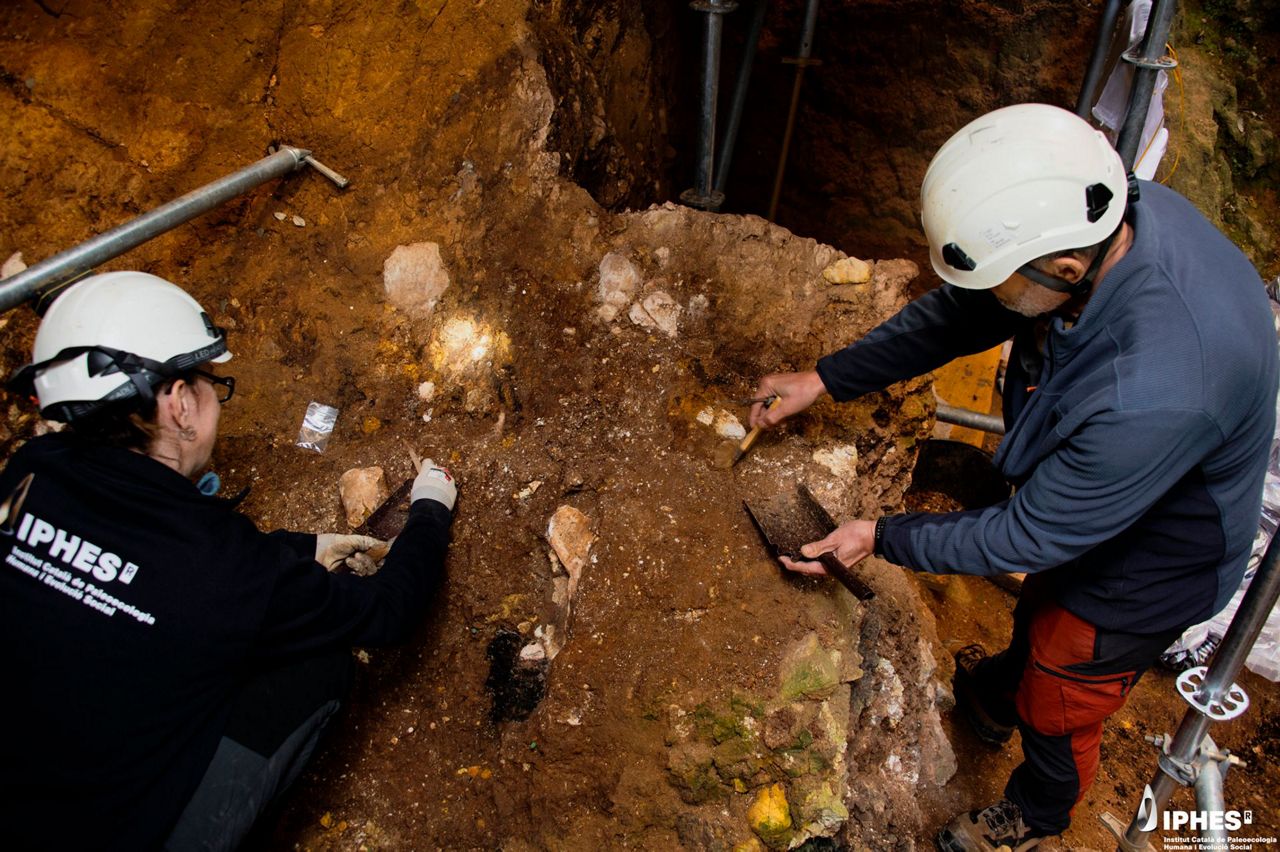 Archaeologists uncover the oldest known partial face fossil of a human ...