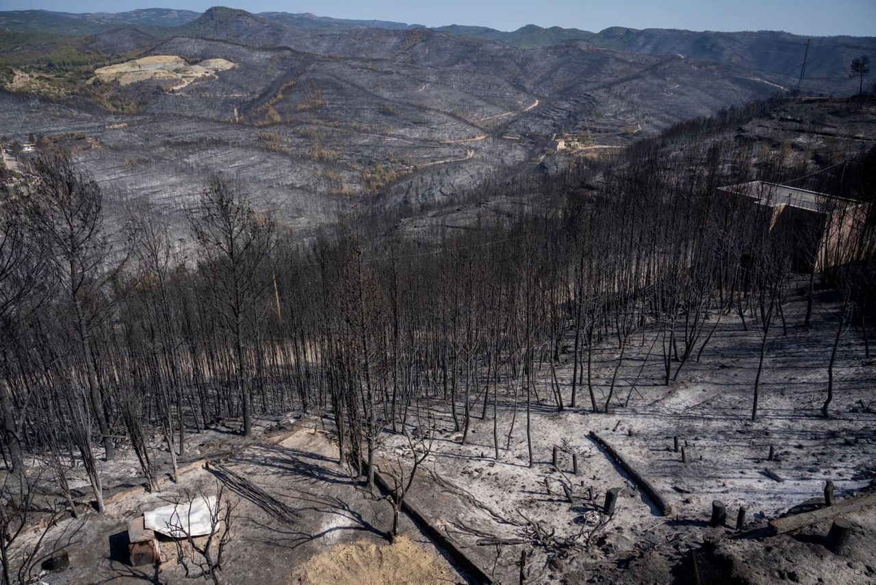 EXPLAINER: What's behind Europe's spate of deadly wildfires?