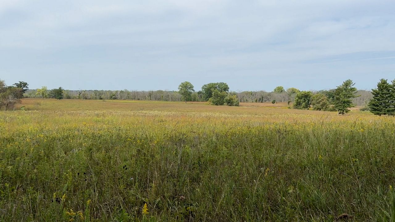 Public invited to view Fair Meadows Sanctuary