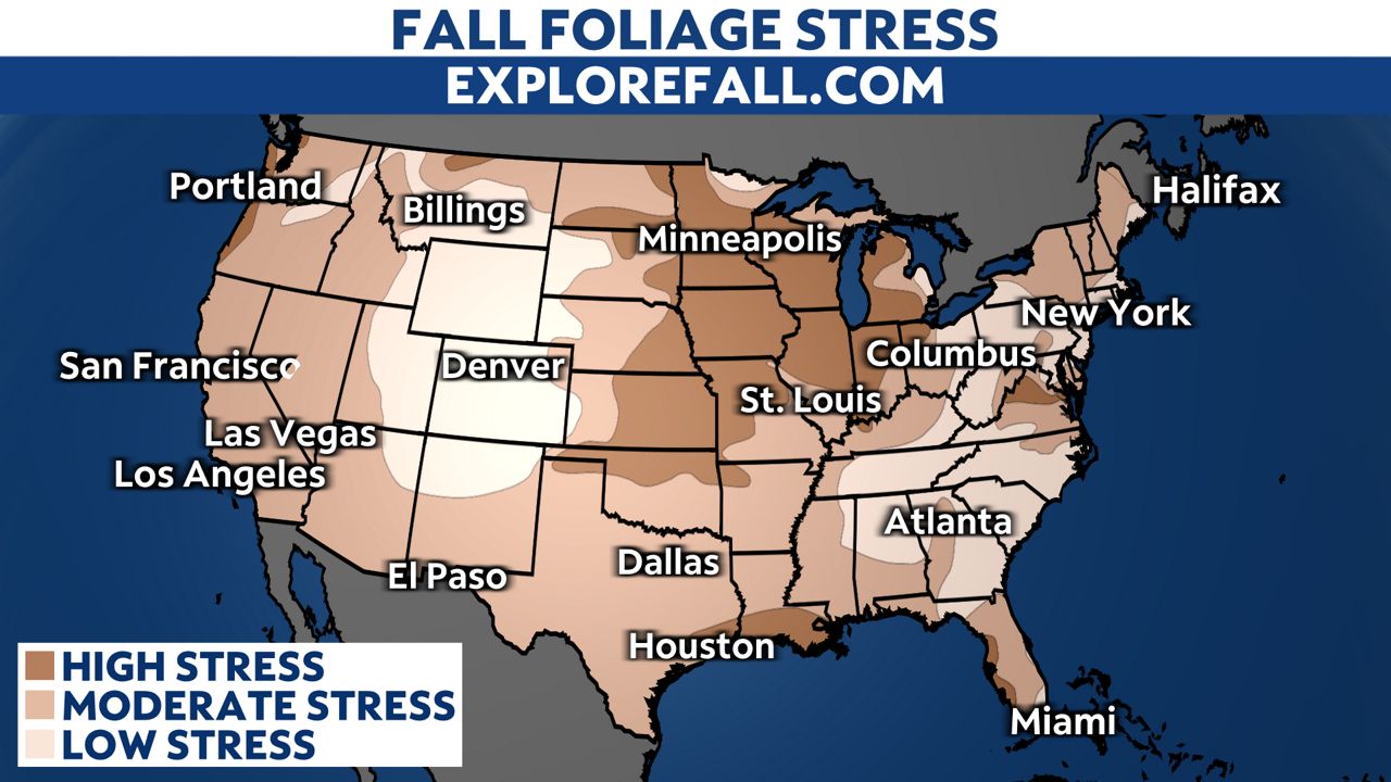 How weather influences fall foliage