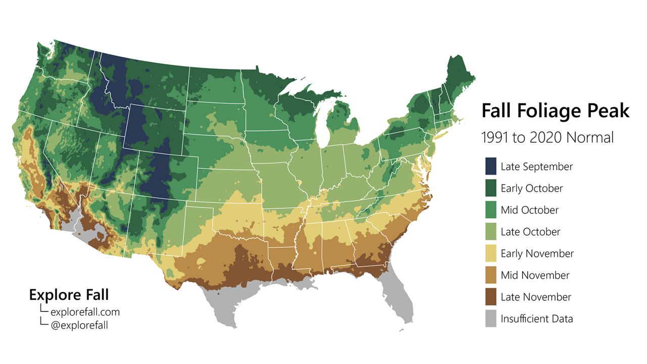 Fall foliage forecast