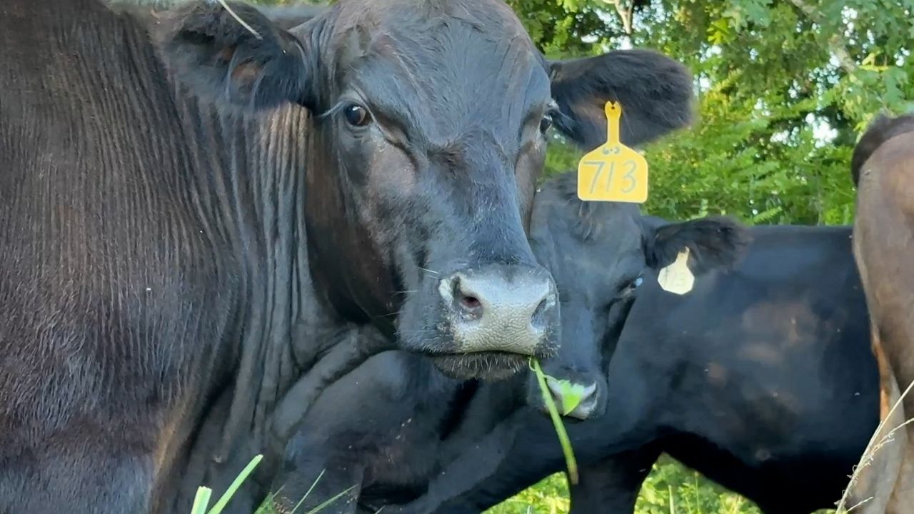 Ag Report: Agritourism and the Eat Beef Ohio Passport