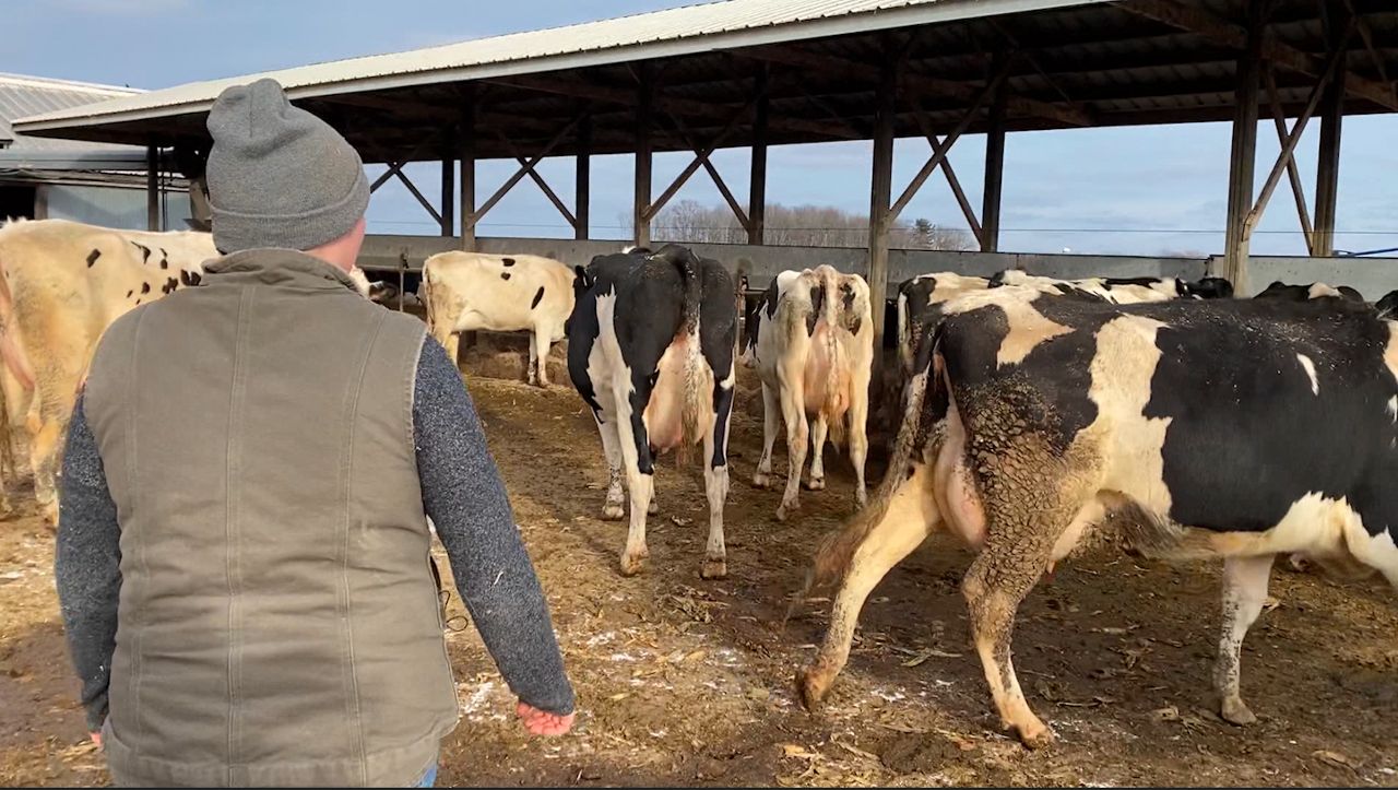 First generation farm owners plan for future of agriculture