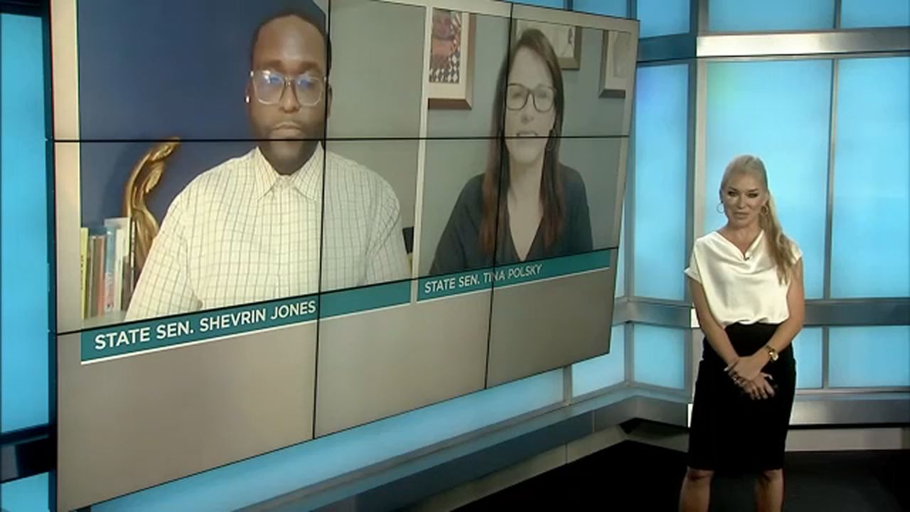 Newly-Elected Democrats in the Florida Senate Part 1