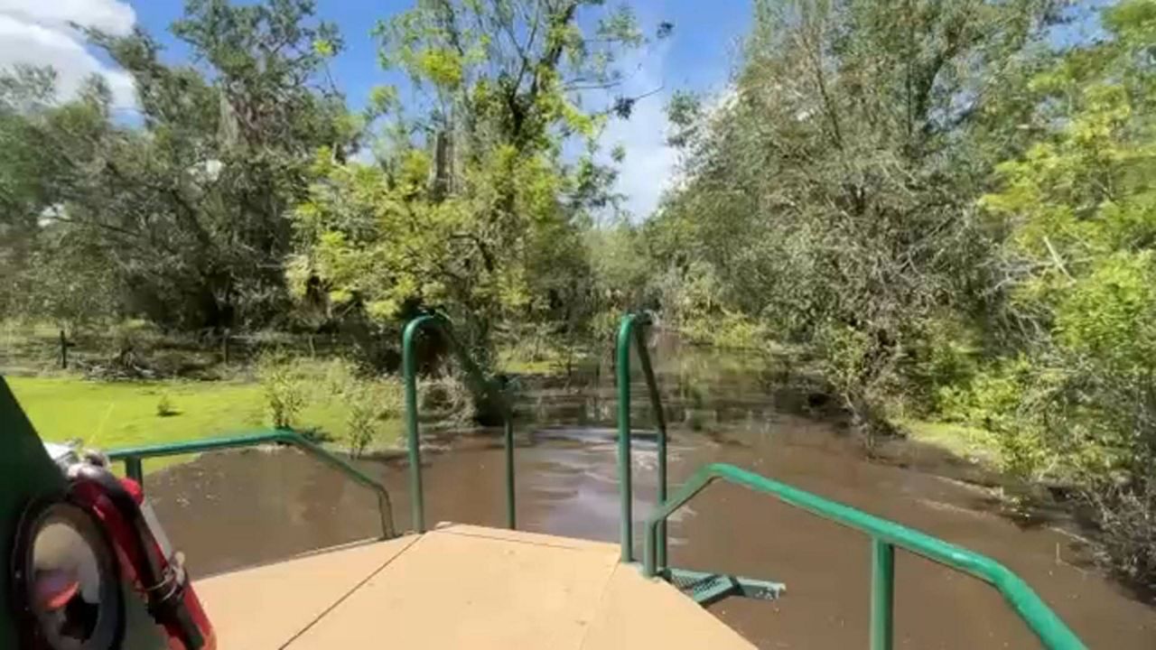 Experience Peace River on a swamp buggy